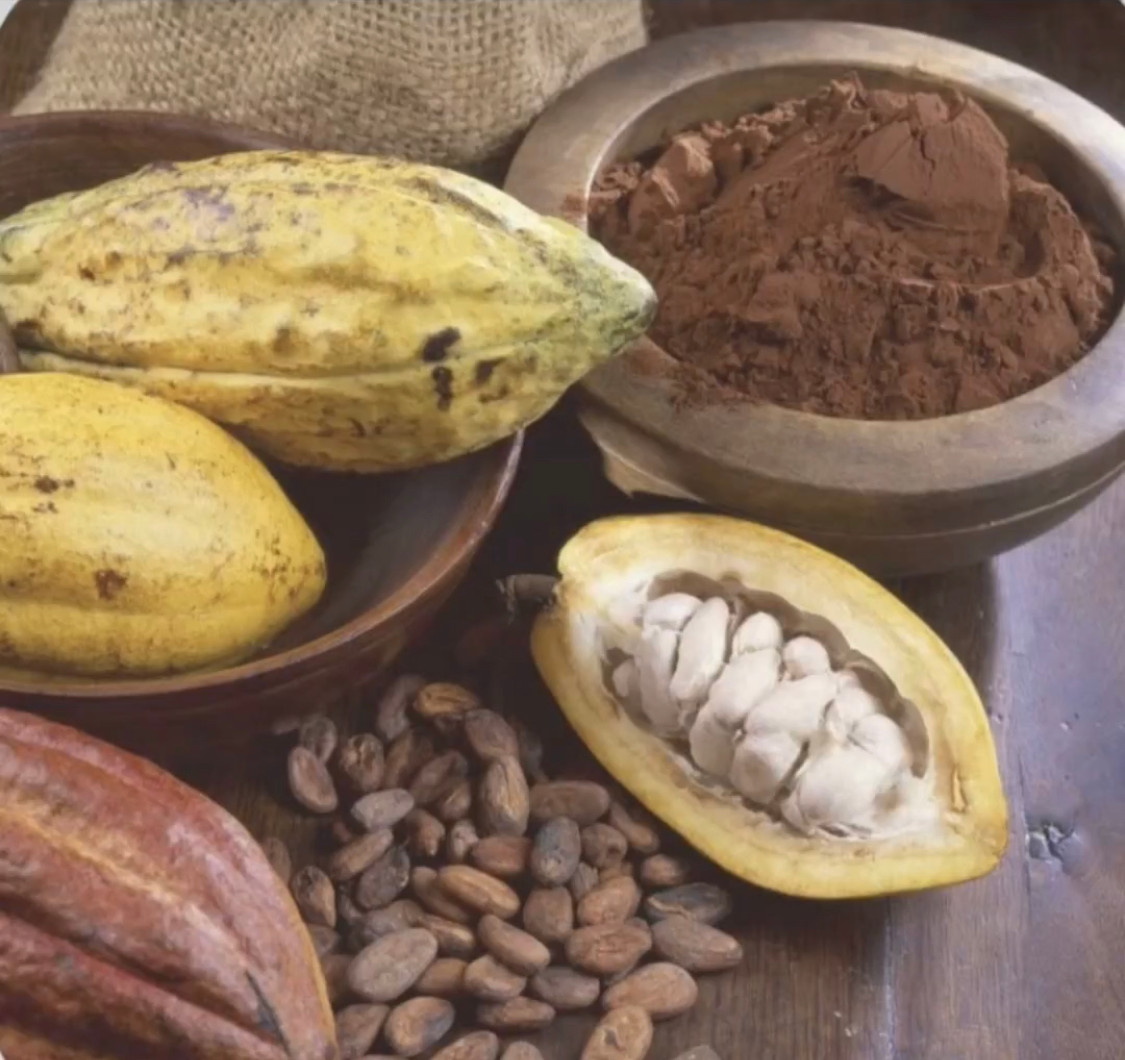 Home THE COCOA SHOP