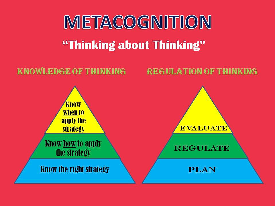 Ci504 Summer 2014 Secondary Literacy Metacognition And Science Texts