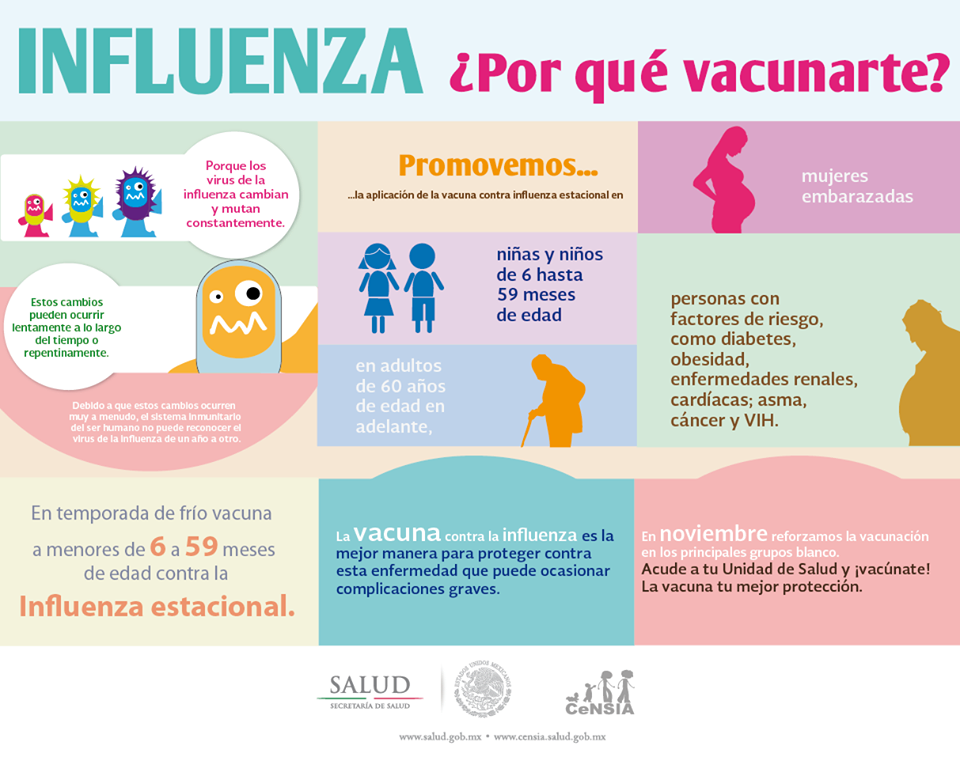 Todos Debemos Estar Vacunados Contra La Influenza