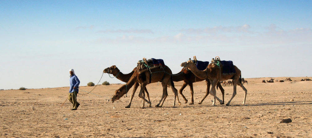 My Forbidden Face Summary - lasopareporter