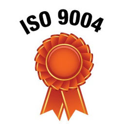 ISO 9004