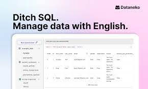Revolutionizing Database Management Unveiling The Power Of Dataneko