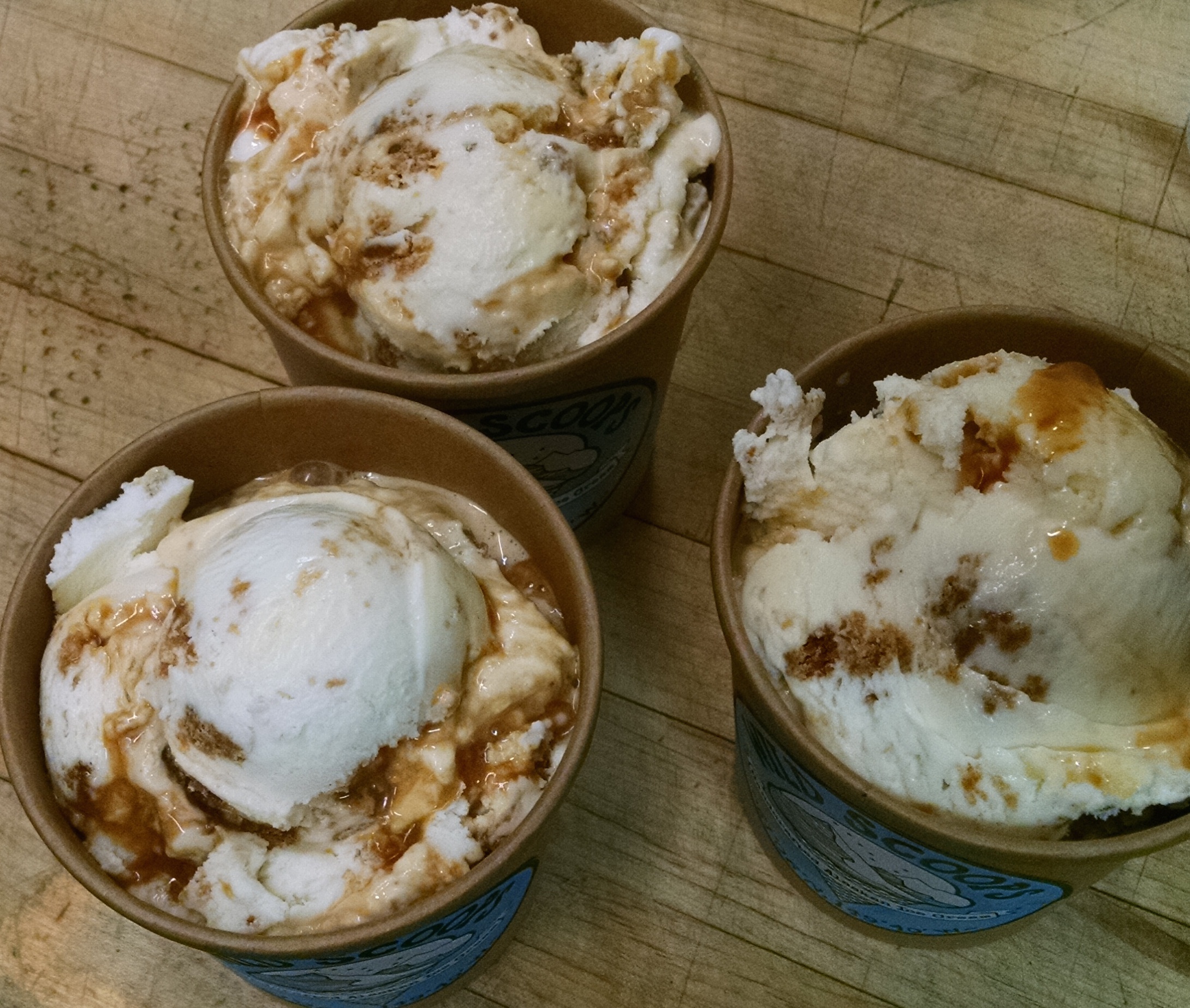 Wild Scoops Flavors Wild Scoops Flavors