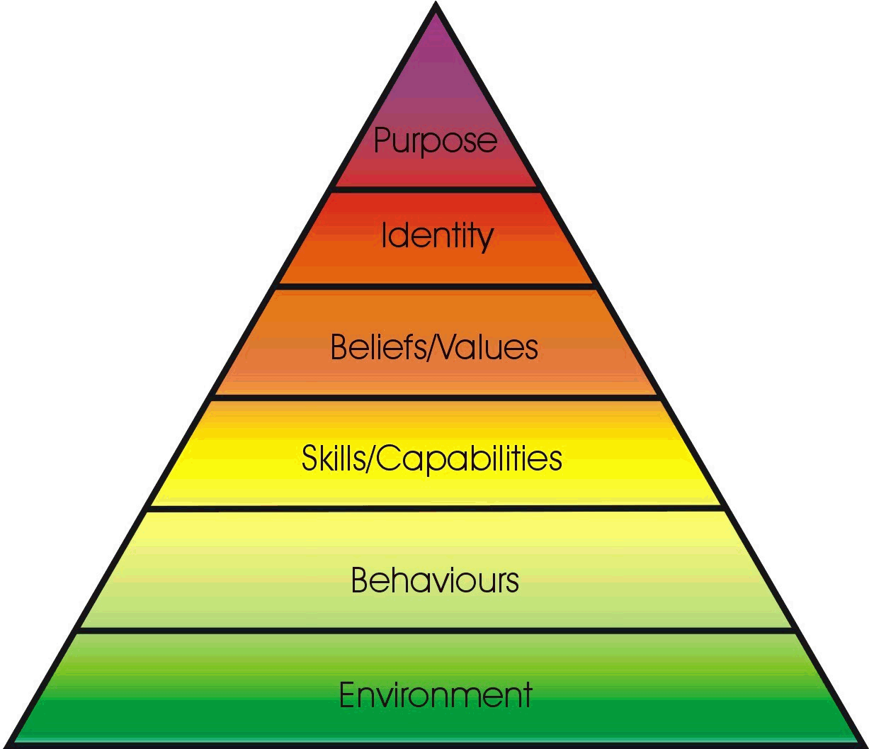 Why Use A Coach Career Life Transitions