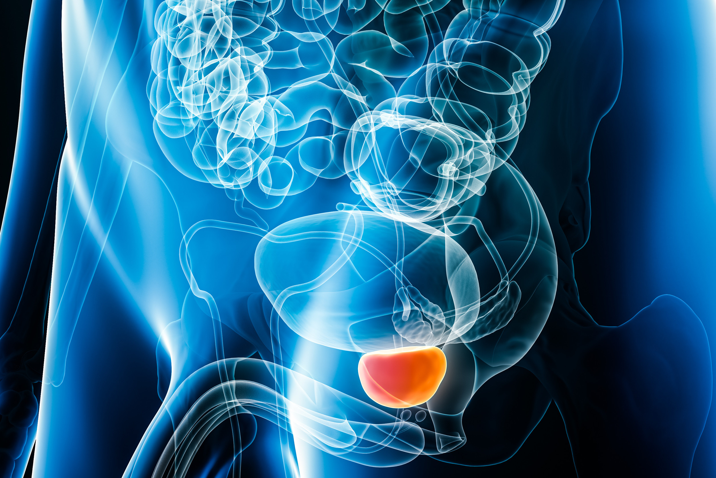 Prostatitis Prevention Symptoms And Treatments