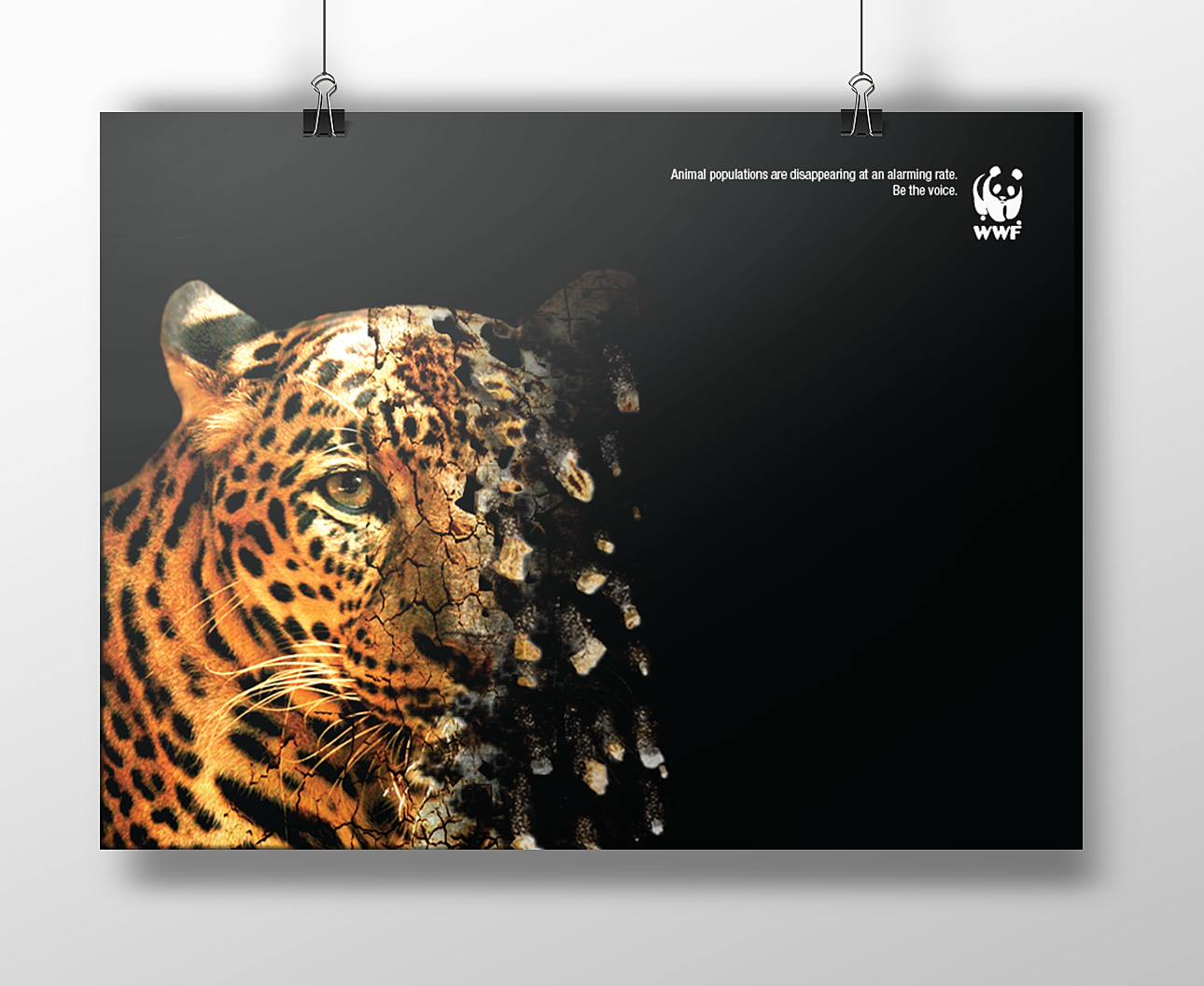 En Avant Designs - Jorden Campbell, Graphic Designer | World Wildlife Fund En Avant Designs - Jorden Campbell, Graphic Designer | World Wildlife Fund