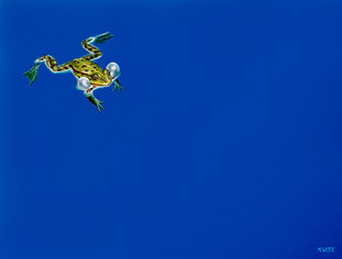 Available Paintings | MARCEL WITTE