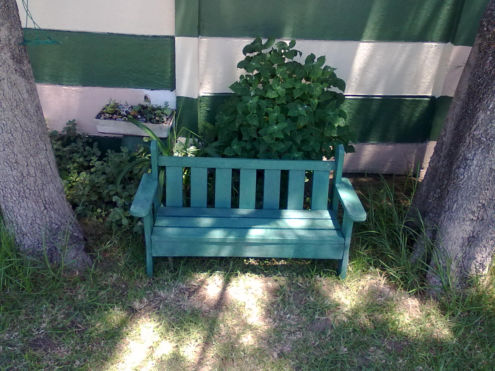 Park Benches | Evergreen Global Structures