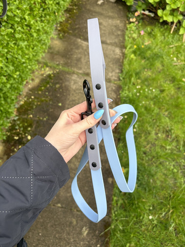 Two Tone Biothane Lead in Grey and Polar Blue | Dogs of Jupiter