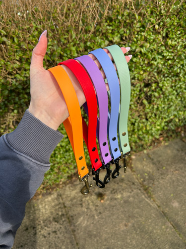 Biothane Tab Lead | Dogs of Jupiter