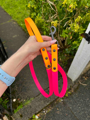 Two Tone Biothane Lead in Fuschia and Peach | Dogs of Jupiter