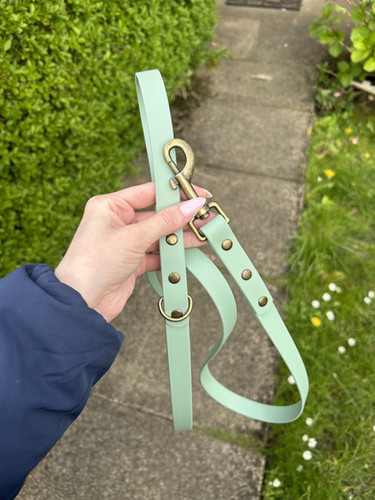 1.3 Metre Biothane Lead in Sage Green and Antique Brass | Dogs of Jupiter