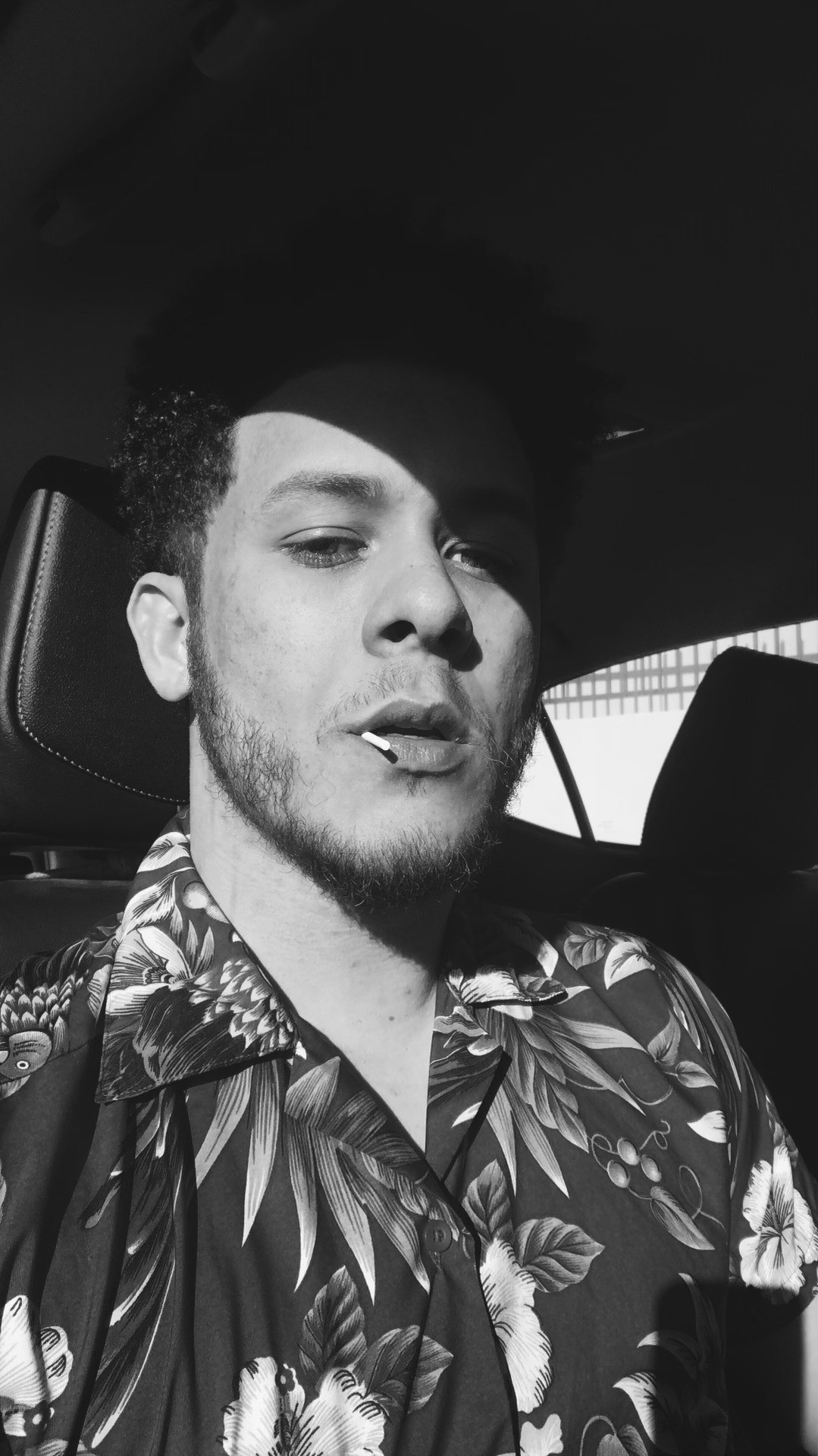 Black Filmmaker Directory | Jordan Traylor