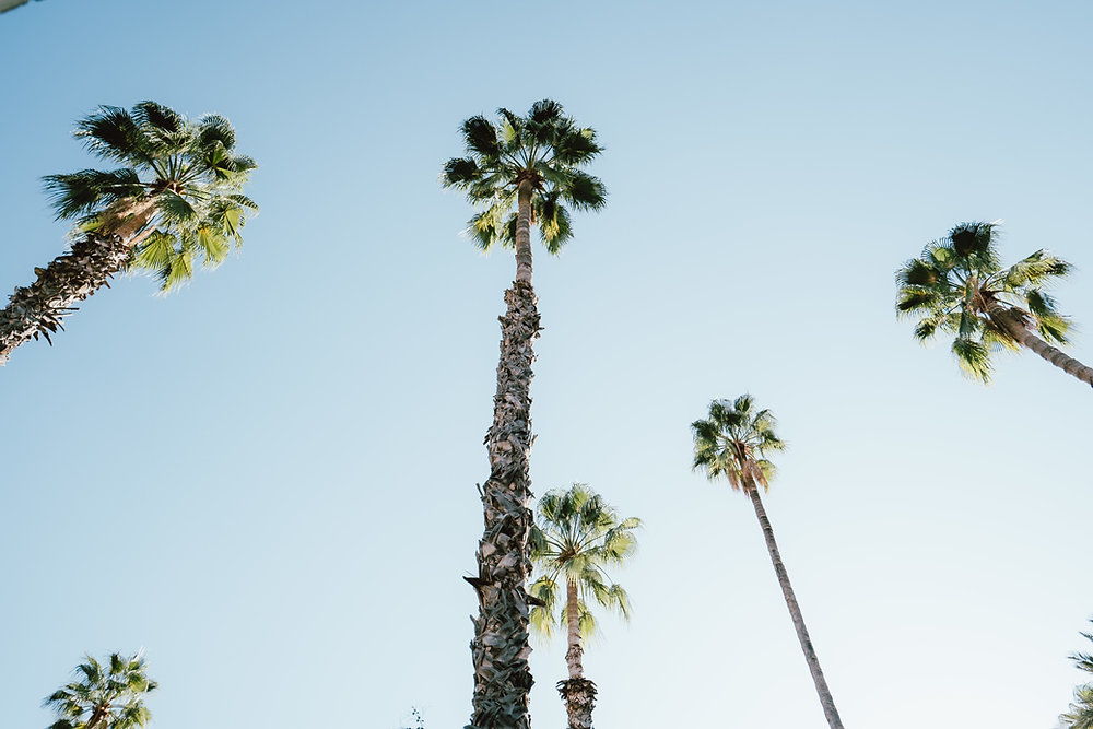 10 Virtual Backgrounds To Brighten Your Office Background for Summer ...
