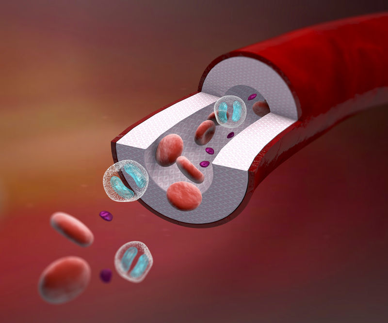 Anemia & Chronic Kidney Disease (CKD) Primer