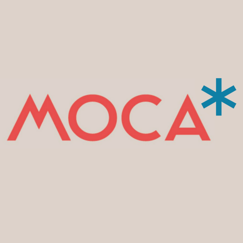 MOCA - Consultoría y Manejo de Social Media - México