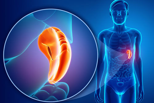 The Spleen and Traditional Chinese Medicine