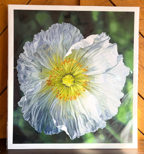 "White Poppy" Signed Print by Erin Duff | Second Story Studio