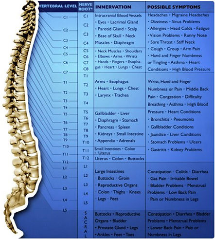 BRMI | Therapeutics - Atlas Orthogonal Chiropractic