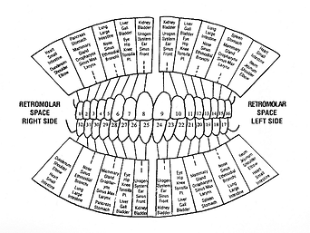 BRMI | History - Reinhold Voll