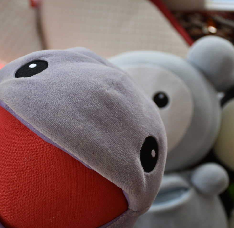 Programme Intelligence Emotionnelle | Pour Enfants | Kimochis