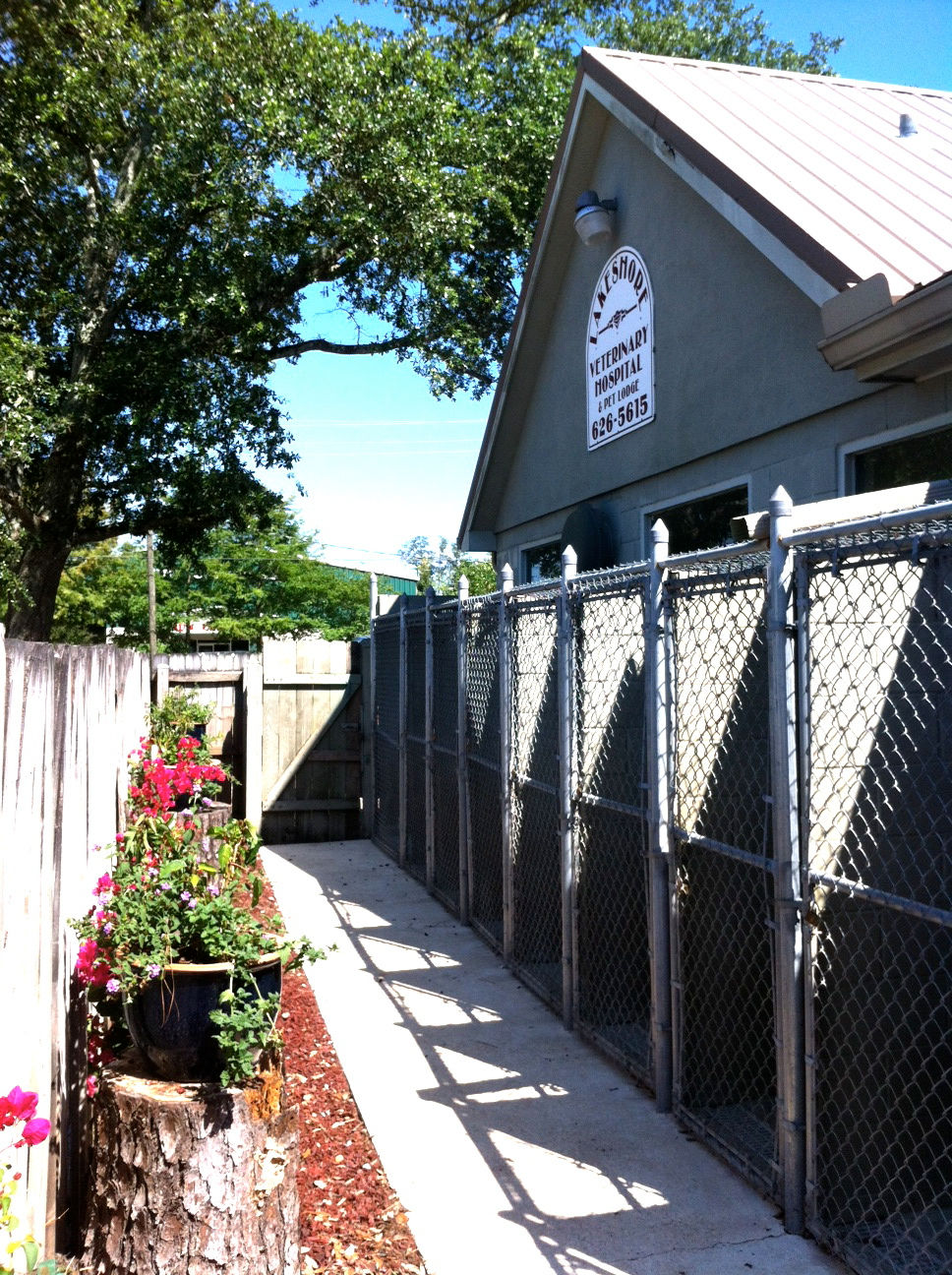 Lakeshore Veterinary Hospital and Pet Lodge