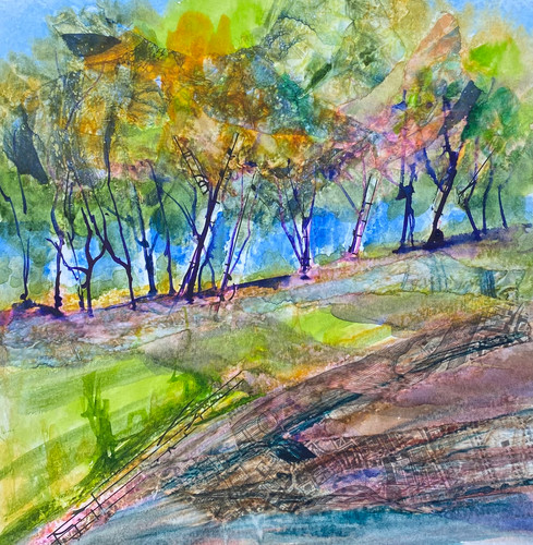 Through the Tree Trunks | mariondeacon