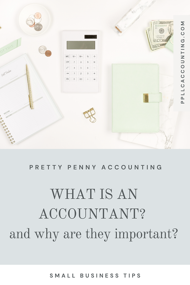 What is an accountant?