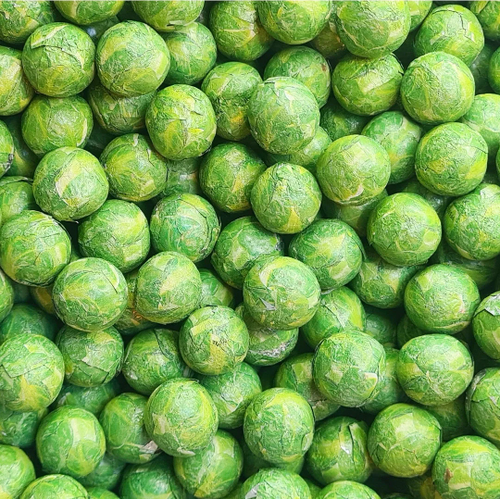 Milk Chocolate Sprouts | Piñata Pantry