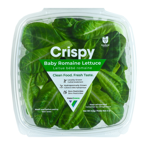 Crispy Baby Romaine Lettuce | Vision Greens