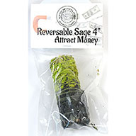 Attract Money Sage 4" | Sunflowers N Sage