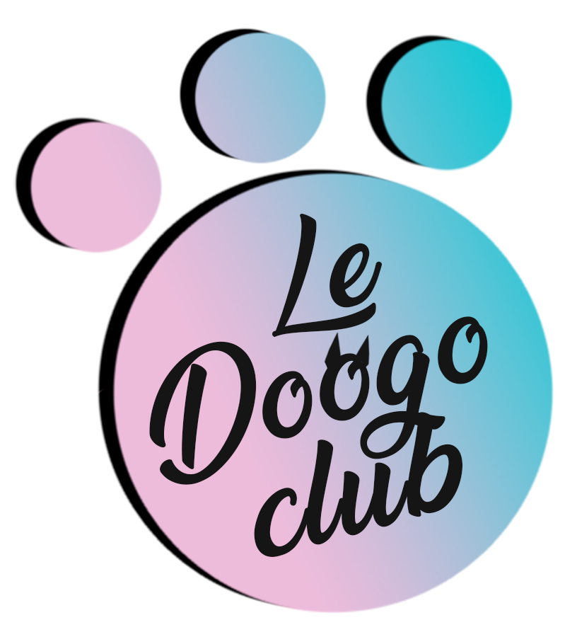 Portes ouvertes du doogo club | le doogo club