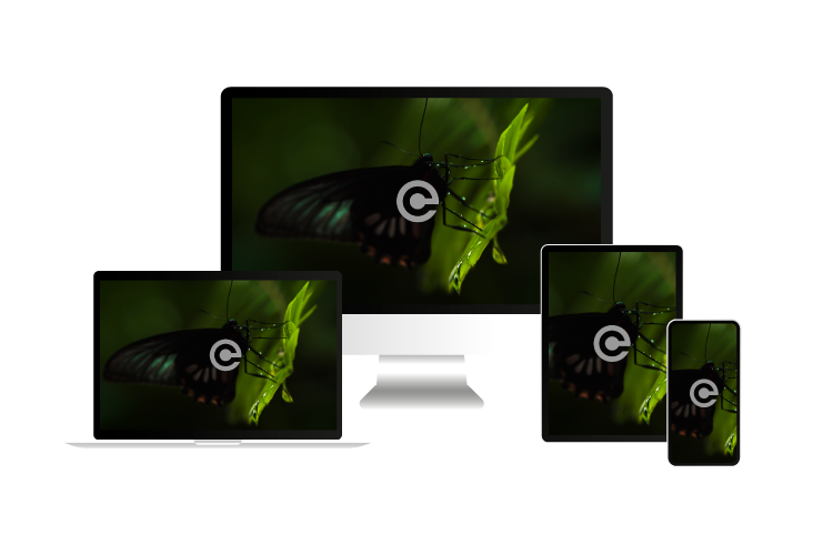 Servicios | EC Media Content