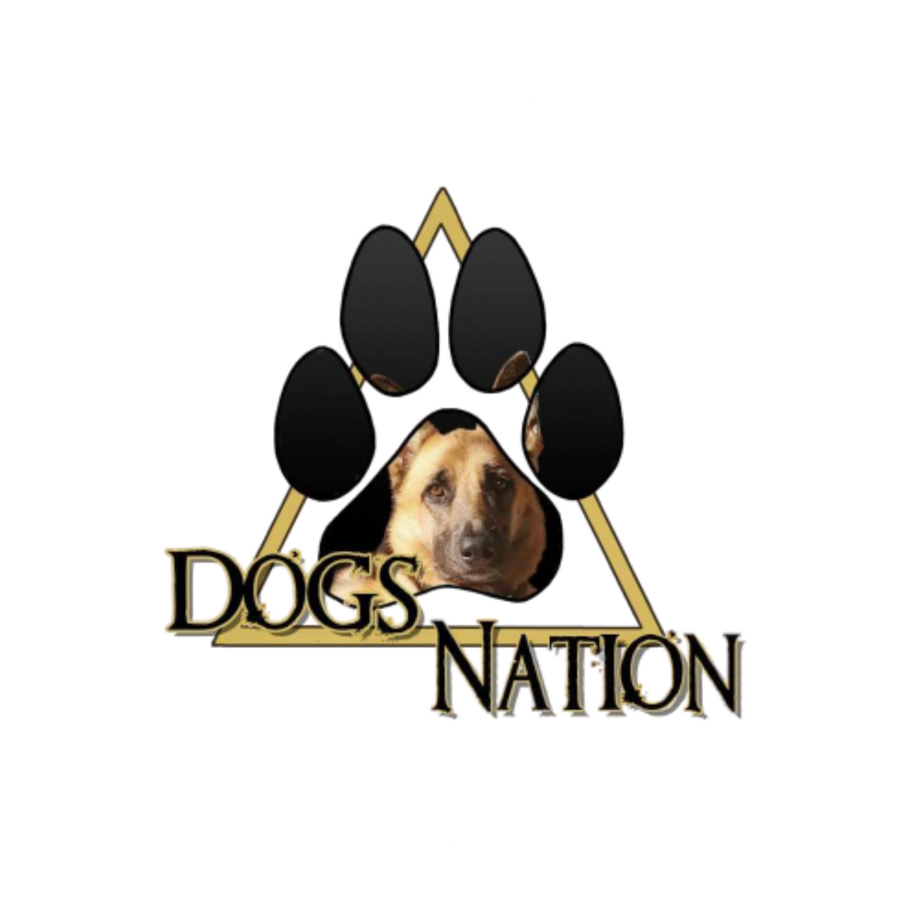 Nos dîplomes et méthodes | Dogs Nation