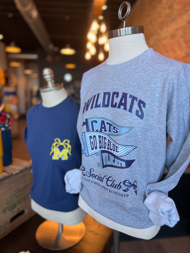 Wildcat Pennant Crewneck | witandwisdomstore
