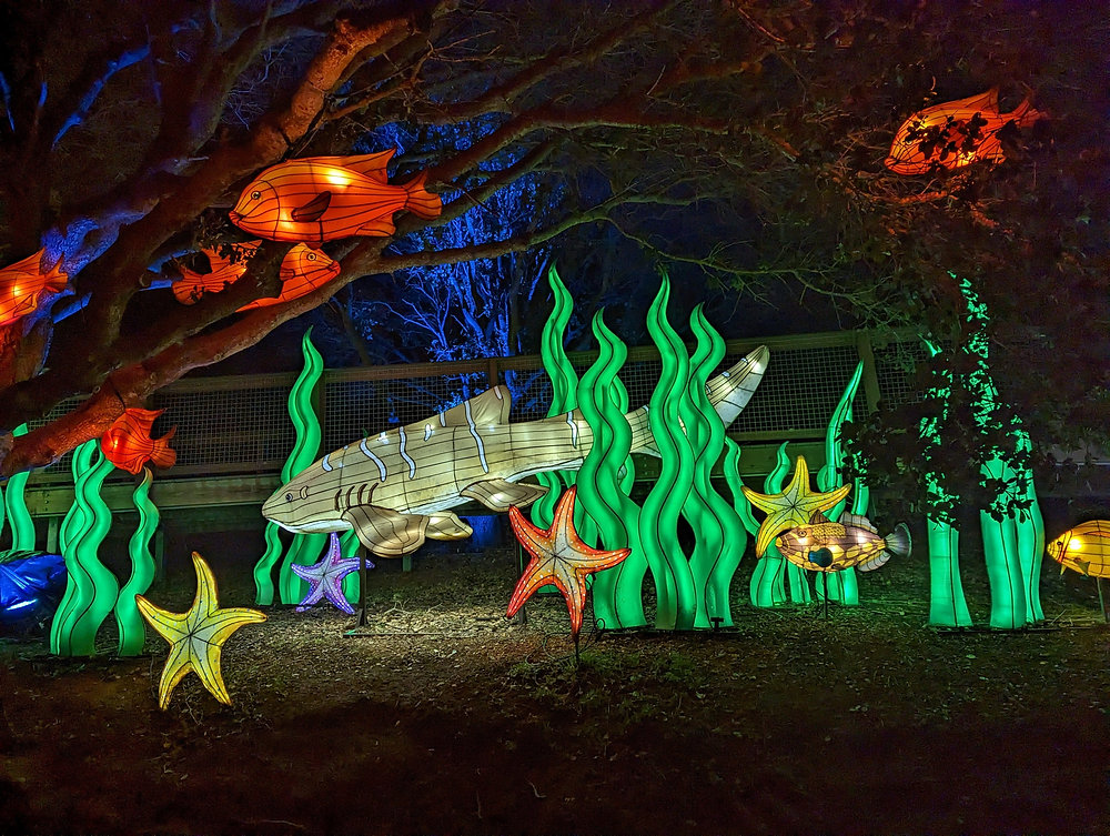 Glowfari at the Oakland Zoo @ Night