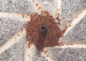 stone flour mill hsn code