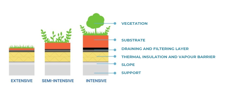 Green Roofs and Walls: Improving Urban Biodiversity and Sustainability