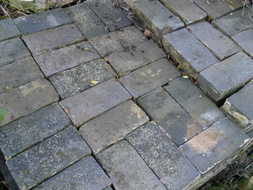 Plain Blue Victorian Paviours | SpencerArchitectural