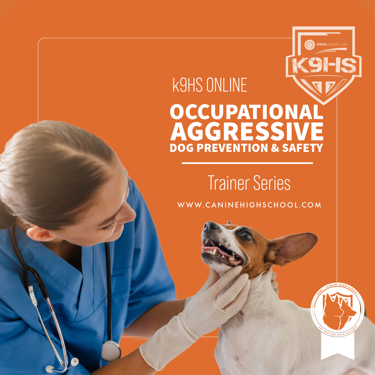 Occupational Aggressive Dog Prevention & Safety Training Online Course ...