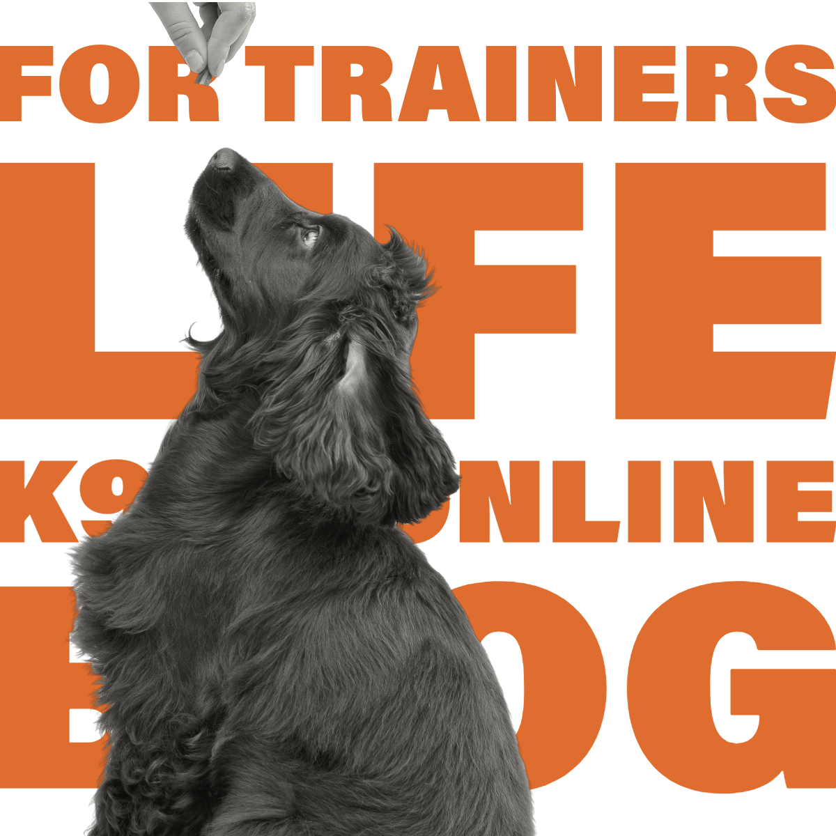 Advanced Emotional Threshold Management: A Framework for Trainers