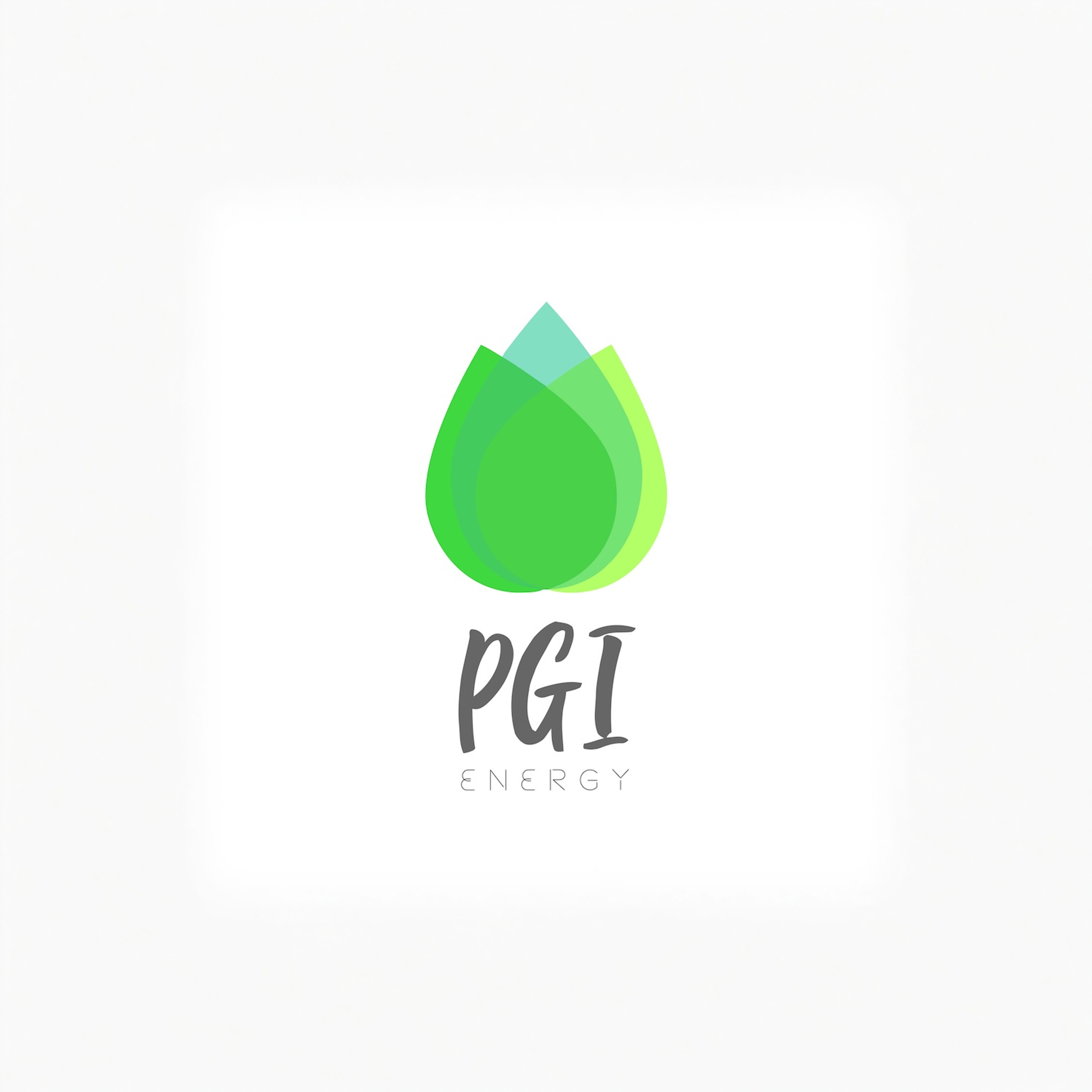 Clean Renewable Energy Company | PGI Power Group International