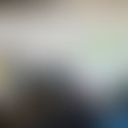 School | Killeshin National School | County Carlow