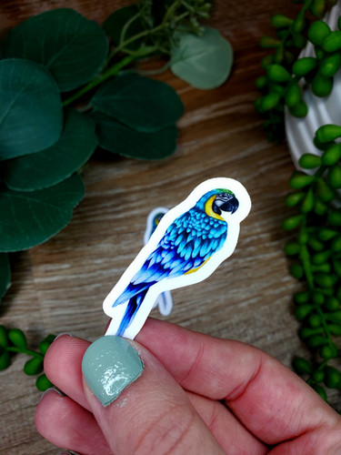 Parrot - Vinyl Sticker | Willow Wood Studio