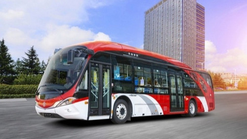 12m Dolphin Bus | SGDTE