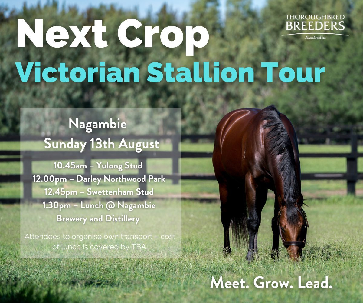 TBA Next Crop Victorian Stallion Tour | TB Breeders Victoria