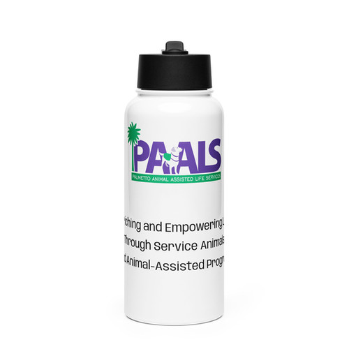 PAALS Stainless steel water bottle with a straw lid | Paals