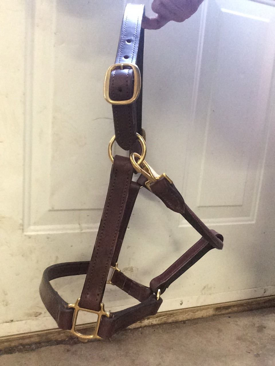 Draft Halters And Leads | Tnt Harness