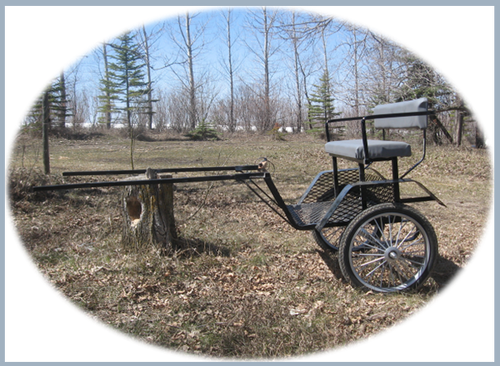 Pony Cart | TnT Harness