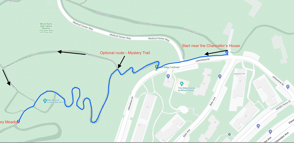 Complete the Mt. Sutro Loop: Sutro Strolls #4 Part Ⅰ